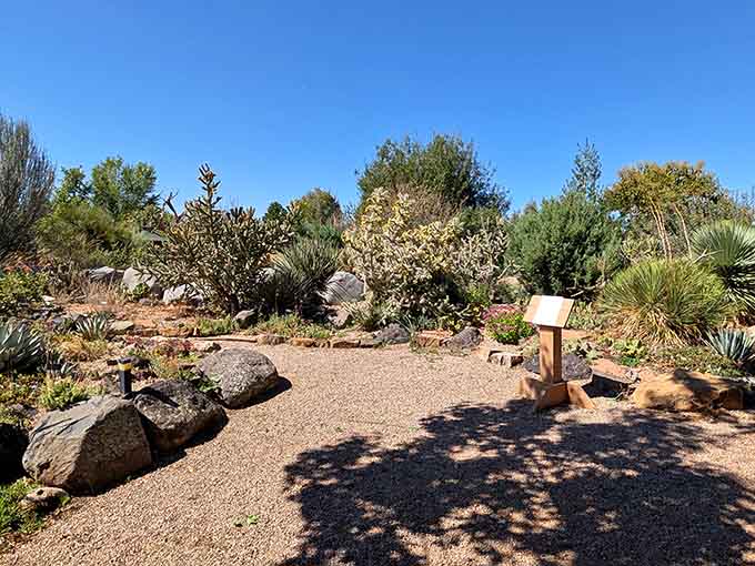 Winding pathways through sculptural succulents prove that water-wise landscaping can be absolutely stunning and inspiring.