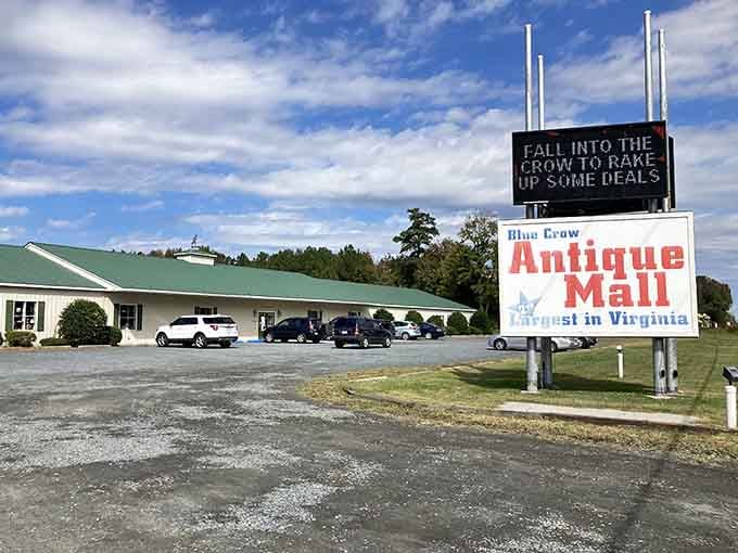 Welcome to treasure hunting headquarters, where the Eastern Shore's best-kept secret hides in plain sight along the highway.