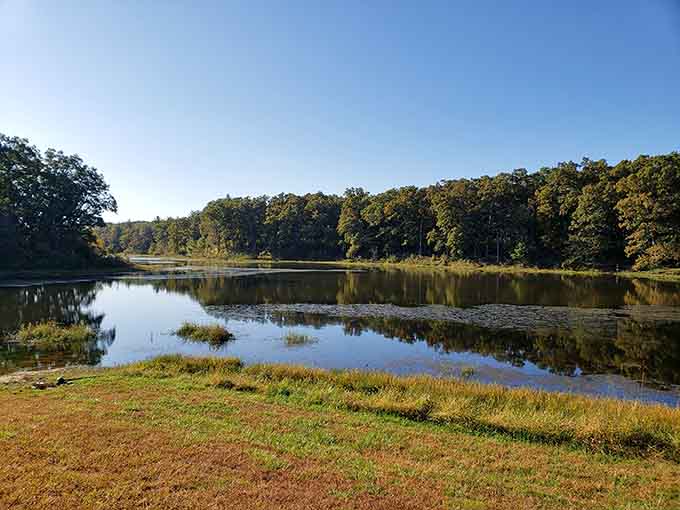 This peaceful lake view proves that sometimes the best destinations are the ones nobody's talking about.