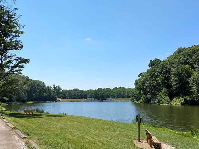 This is the view that makes you forget about your phone for five whole minutes, maybe even ten.