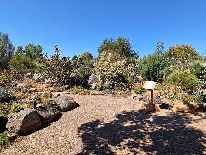 Educational markers guide you through this desert showcase, teaching lessons your houseplants wish you'd learned years ago.