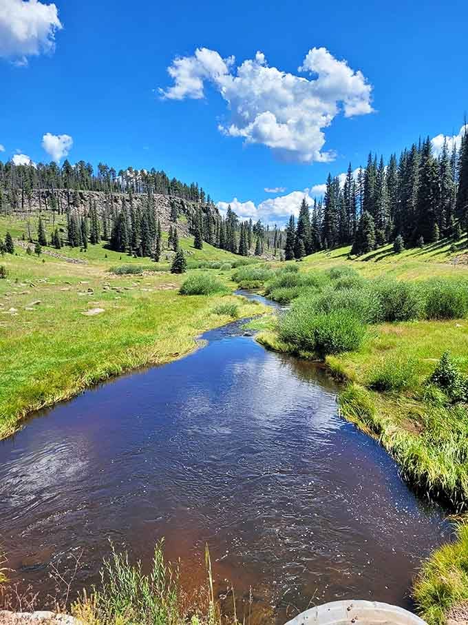 This alpine meadow with its winding stream looks like someone photoshopped Switzerland into the Arizona mountains.