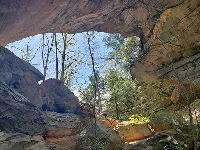 Looking up through ancient stone windows at spring-green canopy, wondering why anyone books flights to see arches elsewhere.