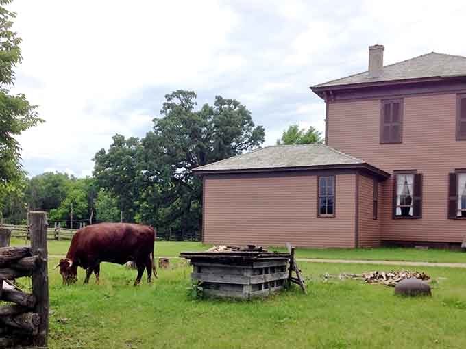 The farmhouse stands proud in its original colors, a testament to Minnesota's agricultural roots and simpler times.