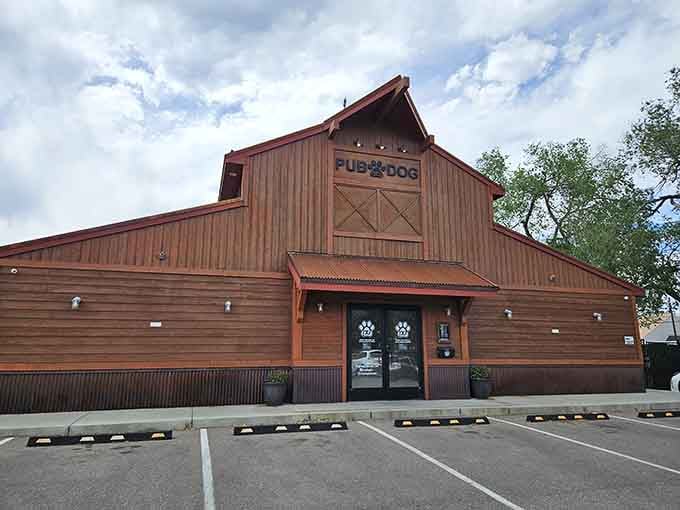 The rustic wood facade promises good times ahead, where four-legged friends get the VIP treatment they deserve.