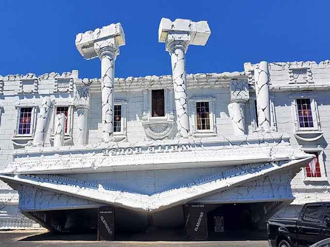 When democracy does a headstand and forgets to come back down, you get this glorious disaster.