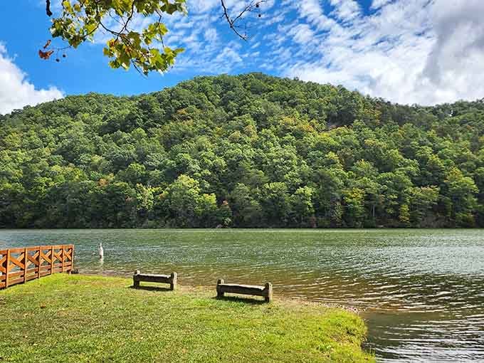 Two benches, one perfect view, and zero reasons to check your phone for the next hour.