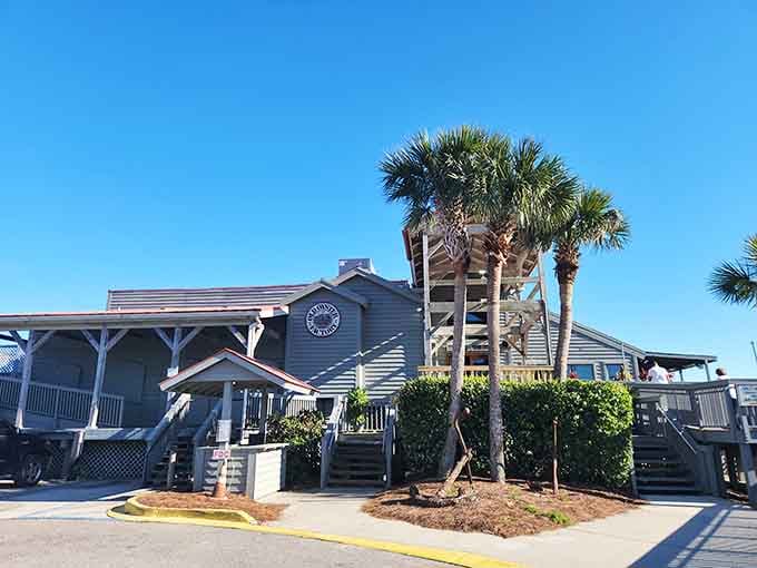 That weathered wood and those swaying palms practically whisper "fresh seafood" before you even step inside.