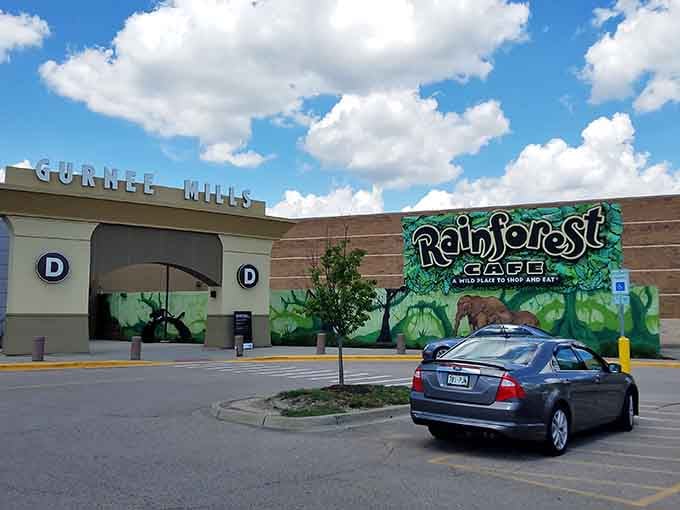 The exterior promises adventure before you even park the car, with jungle murals beckoning families inside.