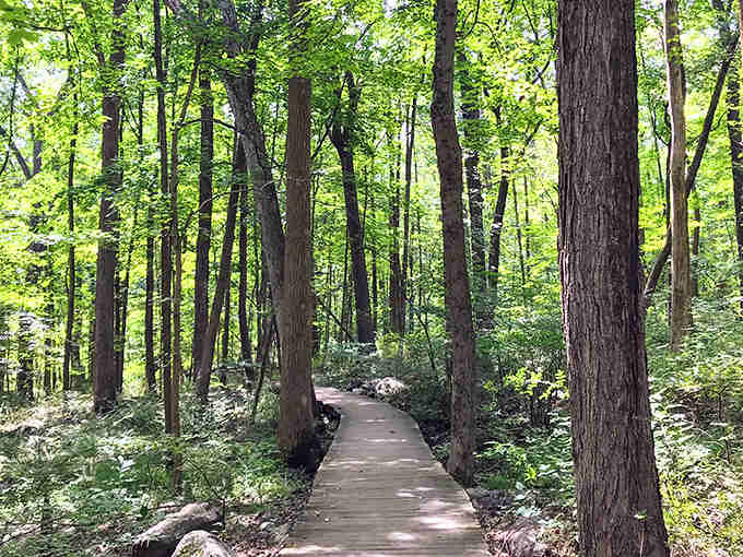 Wooden paths wind through forests so thick, you'll forget what century you're in, let alone what state.