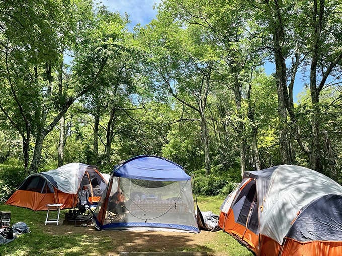Tent city meets mountain majesty, where your neighbors are close enough to borrow marshmallows but far enough to ignore.