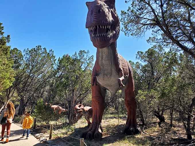 Standing beneath this towering predator really puts your daily problems into perspective, doesn't it?