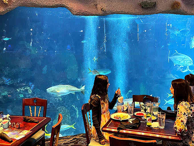 The building's exterior promises an adventure that combines dining, entertainment, and marine life all under one roof.