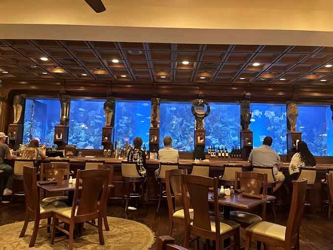 When your dinner companions include both your friends and an entire school of fish, you know it's special.