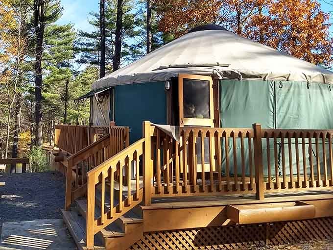 Your personal yurt retreat awaits, complete with a deck perfect for morning coffee and pretending you're a wilderness expert.
