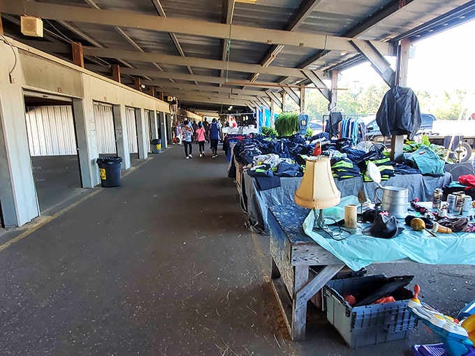 Under cover and fully loaded, these vendor stalls prove that one person's clutter is another's weekend jackpot.