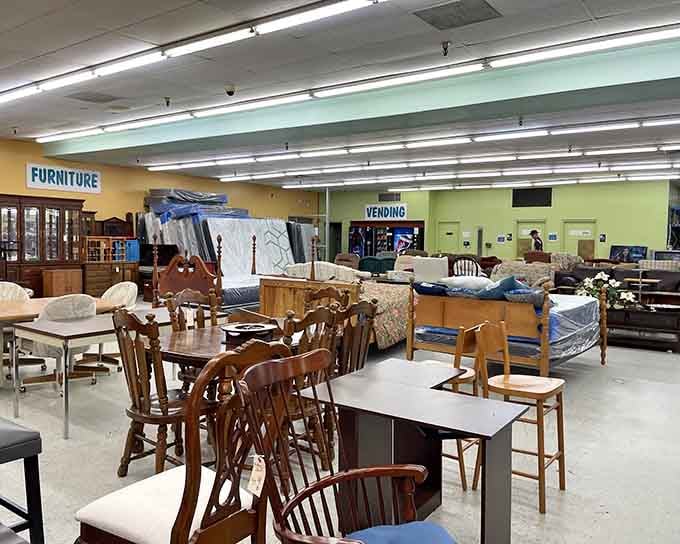 Inside, furniture spreads out like a choose-your-own-adventure story where every piece has lived a life before yours.