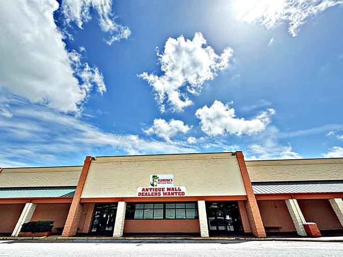That unassuming strip mall exterior hides a treasure trove that'll swallow your entire afternoon whole.