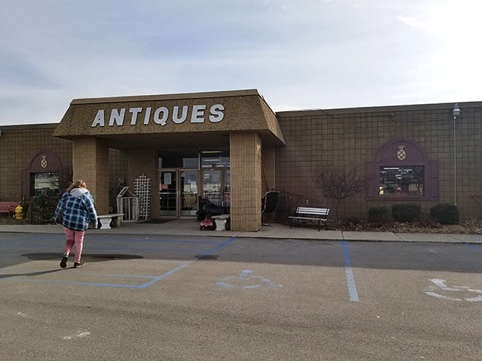 That unassuming brown building holds more treasures than a pirate's chest, minus the scurvy and parrots.