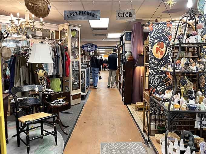 Every aisle is a new adventure where vintage lamps, retro clothing, and forgotten treasures compete for your attention and wallet.
