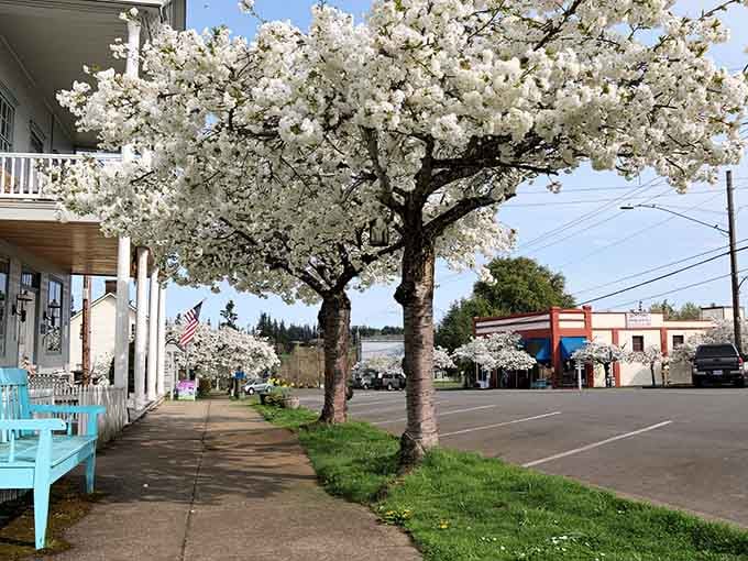 Those flowering trees aren't just pretty, they're nature's way of saying "park here and start shopping immediately."