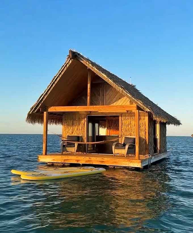 Your floating paradise awaits, complete with thatched roof and water views that make passports feel unnecessary.