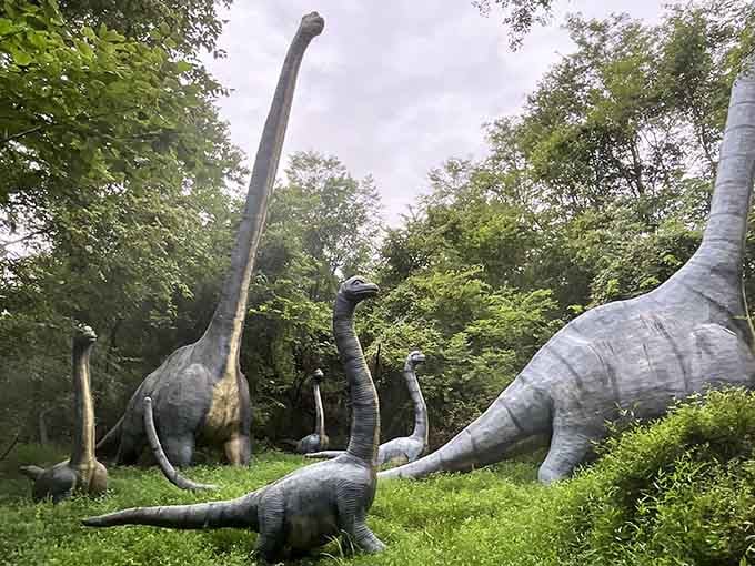 A herd of long-necked giants casually grazing in Kentucky, because apparently the Bluegrass State wasn't interesting enough already.