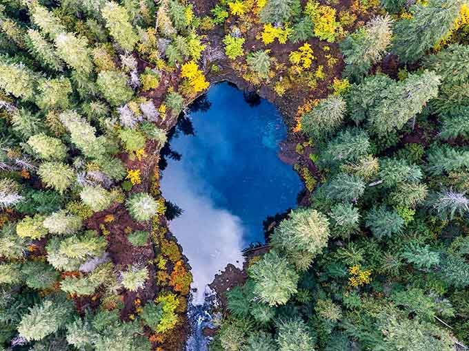 That blue is so vivid it looks like someone spilled a giant bottle of Gatorade in the forest.