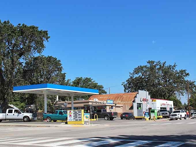 Downtown Paso Robles looks like someone built a time machine and decided the destination should be "charming."