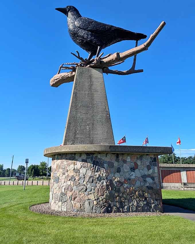 From this angle, the crow looks ready to deliver profound wisdom or possibly just judge your snack choices.