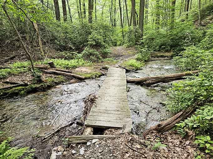 Navigate this charming wooden crossing and immerse yourself in the peaceful beauty of the forest.