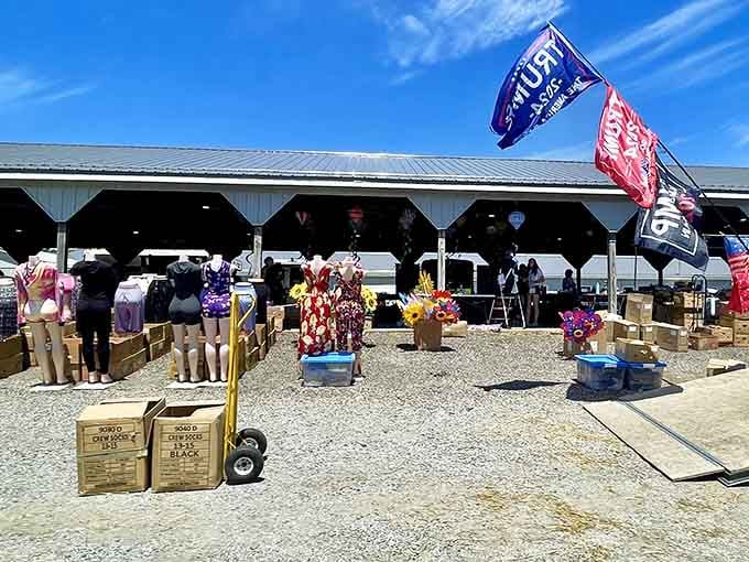 Outdoor treasure hunting under sunny skies where every cardboard box might contain your next favorite thing.