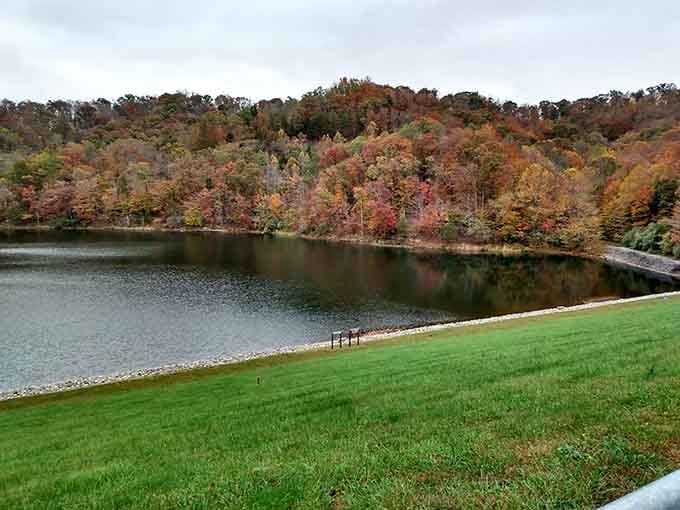 Rolling hills frame the lake perfectly, reminding us why Kentucky landscapes inspire painters and poets alike.