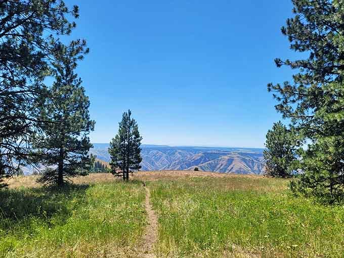 That trail through golden grass leading to layered canyons? That's your invitation to three-state views.