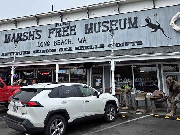 The promise of "free" and "curiosities" in one place makes this the best deal on the Washington coast.