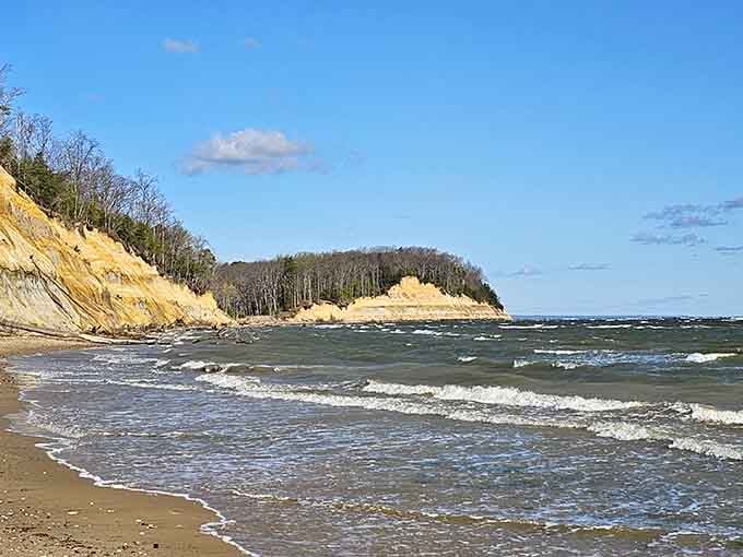 Those cliffs have been standing guard over the Chesapeake for millions of years, just waiting for you to find their secrets.