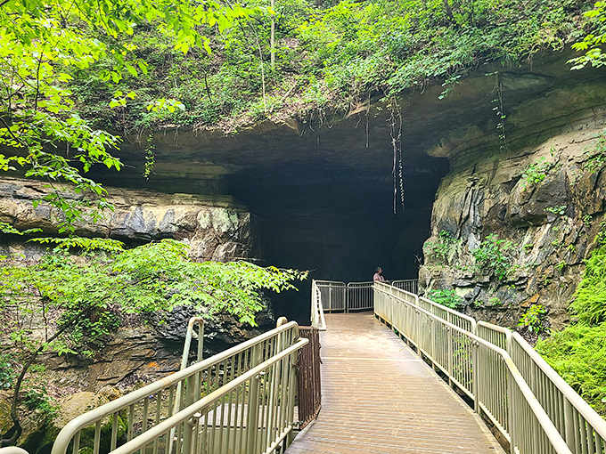That moment when you realize Indiana has been hiding caves worthy of an Indiana Jones movie all along.