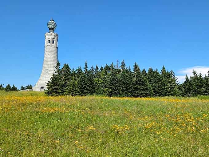 That tower rising from wildflower meadows looks like someone's beautiful mistake, and we're all better for it.