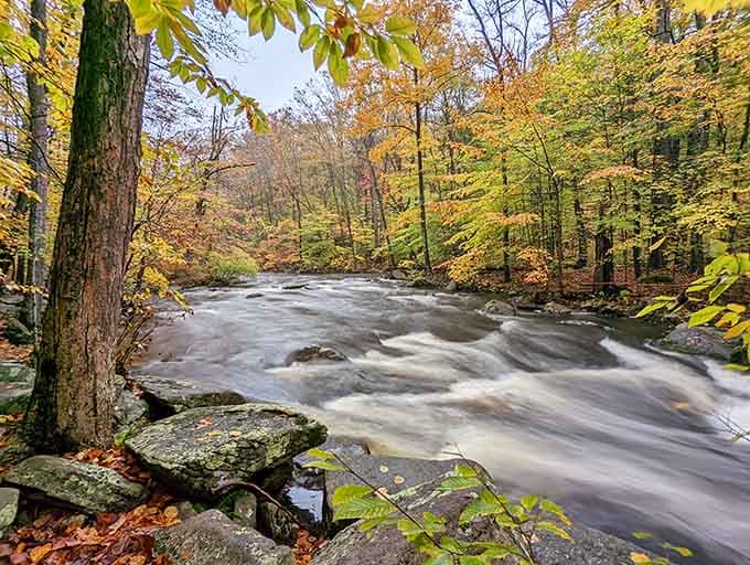 The Black River doesn't just flow here, it performs a full Broadway production complete with dramatic cascades and autumn lighting.