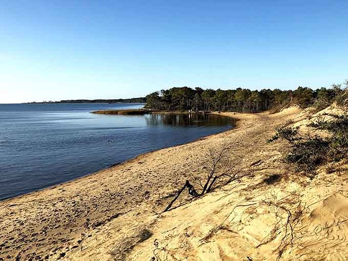 Where coastal Carolina meets the Sahara, creating a landscape that'll make your geography teacher question everything they taught.