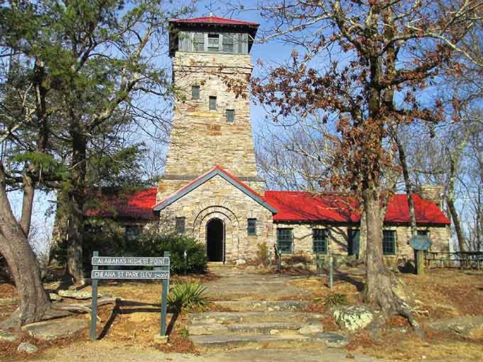 Cheaha's observation tower watches over the forest like a faithful guardian, offering views that stretch beyond tomorrow.