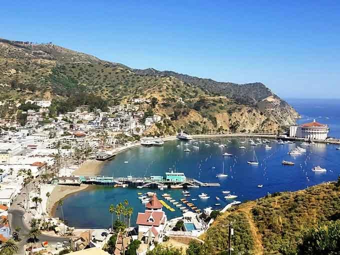 From up here, Avalon looks like someone tilted a Mediterranean postcard at just the right angle to catch California sunshine.