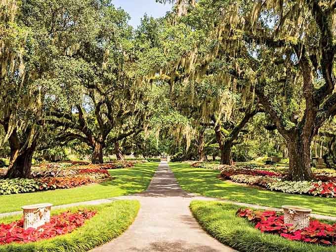 This tree-lined path looks like it leads straight to heaven, or at least somewhere really nice.