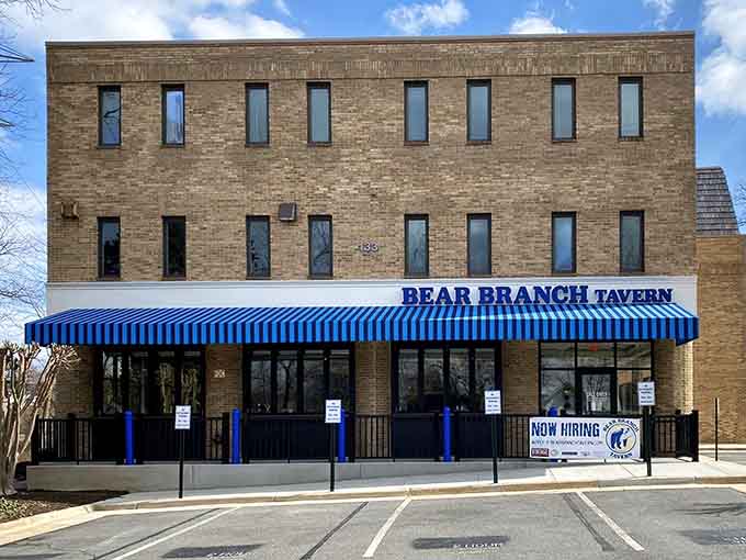 Giant pretzels and cold brews are calling! Grab a seat under the blue stripes at Bear Branch Tavern for Virginia&rsquo;s best.