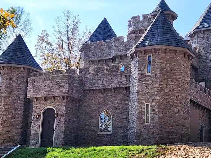 When a medieval fortress appears in the Georgia countryside, you know someone's living their absolute best fantasy life.