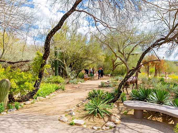 Winding paths through mesquite canopies invite leisurely strolls where desert beauty unfolds at every gentle turn.