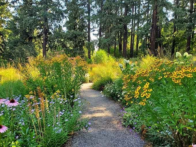 Golden blooms and towering trees create a pathway that looks straight out of a storybook illustration.