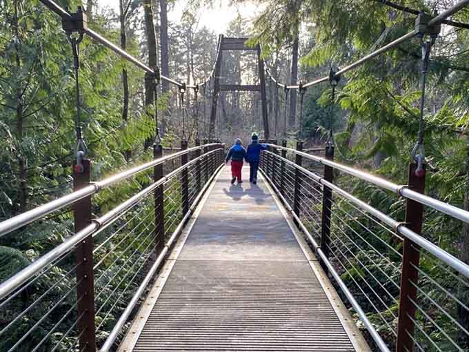 Walking among the treetops feels like discovering Narnia, except the only wardrobe involved is the one you left at home.