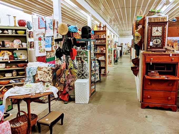 Row after row of vintage wonders waiting to tell their stories, if you're patient enough to listen and explore.