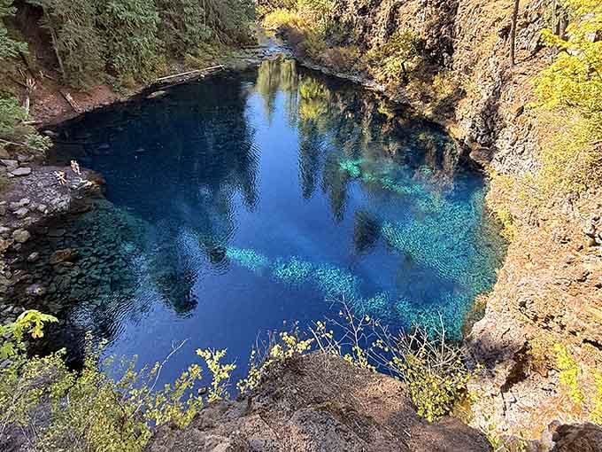 That blue is so vivid it looks like someone spilled a giant bottle of Gatorade in the forest.